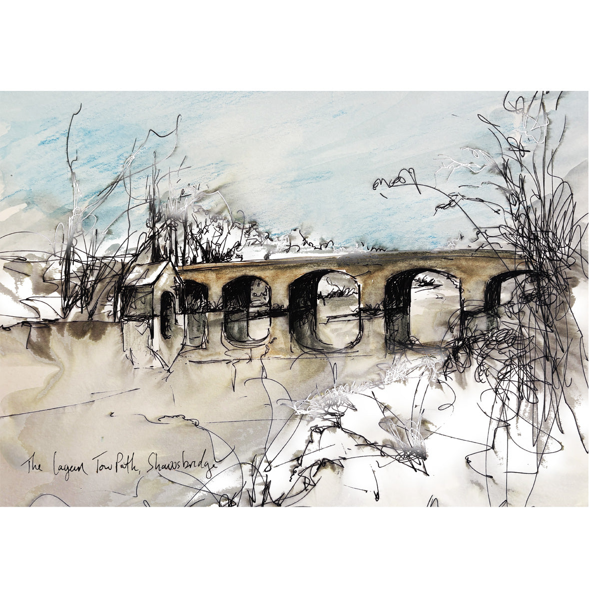 The Lagan Tow Path, Shaw's Bridge – We Have it Wrapped UP