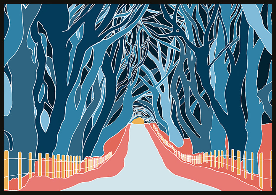The Dark Hedges - Deborah Hill Design – We Have it Wrapped UP